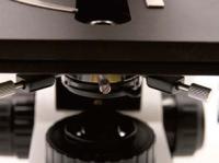 China Upright Biological Microscope B70 with Objective Turntable for sale