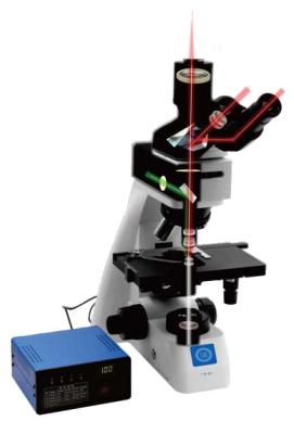 China Microscopio biológico de enfoque vertical grueso / micro coaxial B70F en venta