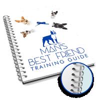 China Wire-O Coil Bound Books for sale