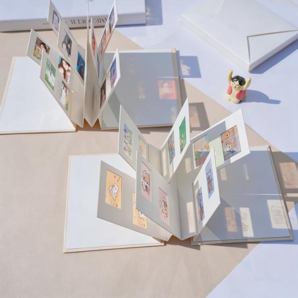 Quality Accordion Fold Shadow Photo Album With Window Frame Panels And 3M Adhesive for sale