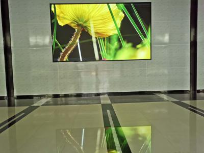 Cina Video schermo di visualizzazione principale dell'interno della parete 320*160mm di P1.86 HD LED 500cd/Sqm in vendita