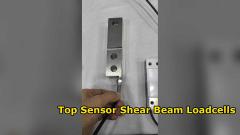 Top sensor shear beam loadcell