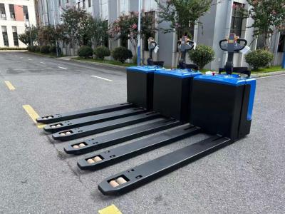 중국 3000kg 용량 및 페달 보호 팔 워키 모델 판매용