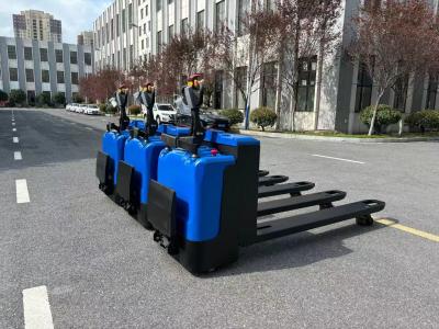 China Customizd Non standard  Electric Pallet Staker Walkie Jack 3000 KGS With Pedal Protection Arm for sale