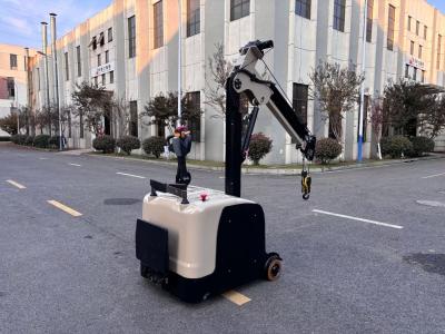 Cina Non Standard Electric Mini Crane Arm Truck Rated Lifting Capacity 300 KG in vendita