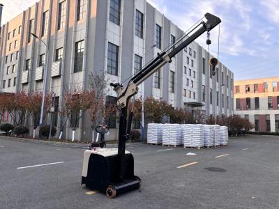 Cina Non Standard Electric Mini Crane Arm Truck Rated Lifting Capacity 300 KG in vendita