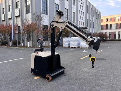 Cina 300 KG Lifting Capacity Non Standard Electric Mini Crane Arm Truck  Lifting Height 3000 MM in vendita
