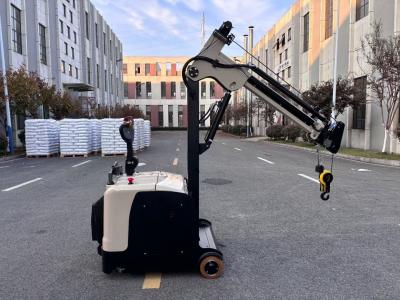 Cina Motor Customized Electric Counter Balance Forklift  Mini Crane Arm  Length 2480 mm  Lifting Height 3000 mm in vendita