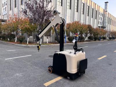 Cina Electric Counter Balance Forklift  Mini Crane Arm Designed for Lifting Engines Length 2480 mm  Lifting Height 3000 mm in vendita