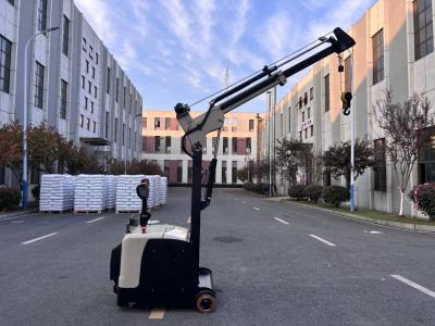 Cina Electric Counter Balance Forklift  Mini Crane Arm Designed for Lifting Engines Length 2480 mm  Lifting Height 3000 mm in vendita
