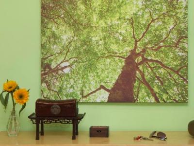 China 4 colour wide format digital photo canvas printing for art show / display for sale
