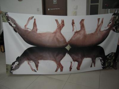 China Custom Table Cloth Printing for advertising washable , no fade for sale
