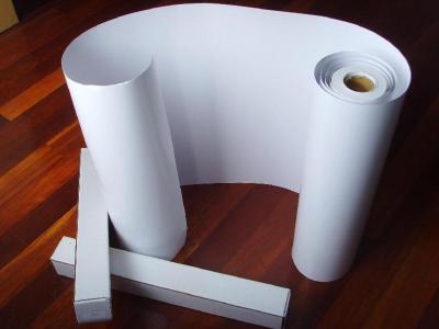 China wide photo paper for inkjet printers 5760dpi , 8 x 10 photo paper for sale