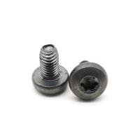 China Hexalobular Socket Torx Pan Head Self Tapping Screws Triangle Thread Rolling Screws for sale