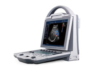 Cina Analizzatore portatile LCD a 10,4 pollici 256 Grey Color Doppler Ultrasound Device di ultrasuono in vendita