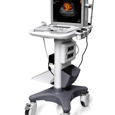 Cina Sistema portatile di ultrasuono di doppler di colore di rappresentazione LCD a 15 pollici del monitor 3D in vendita