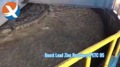 Lead-Zinc Ore Flotation