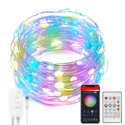 China Tuya Smart WiFi LED Fairy String Light Dreamcolor 10m 100LED RGB RGBIC USB Strip Light Work Alexa Music Sync APP 40key Remote for sale