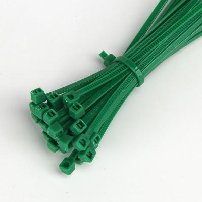Cina Auto di verde del ODM breve che chiude le fascette ferma-cavo a chiave di nylon 2.5mmx100mm in vendita
