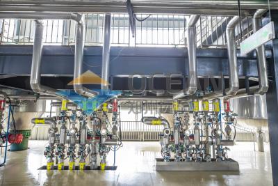 Cina Piccola scala automatica della pianta della stampa dell'attrezzatura di elaborazione dell'olio da tavola della vetroresina in vendita