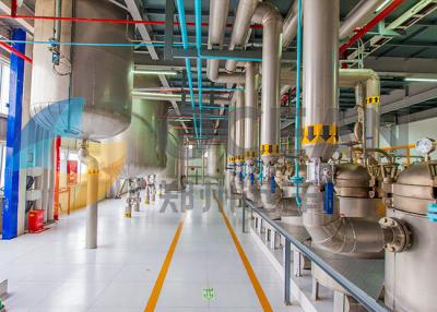 Cina Attrezzatura di raffinamento brevettata 30-1500TPD dell'olio da tavola di tecnologia in vendita