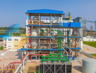 China Het uitlogen Stomend Materiaal 100-200 TPD van de Palmolieextractie Te koop