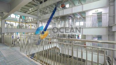 Cina Linea di produzione completamente automatica dell'olio di cotone della pianta di raffineria del petrolio greggio della soia in vendita