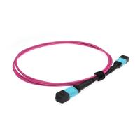China Om4 Multimode Fiber Patch Cord Plenum Mm Mtp Mpo 12 Connector for sale