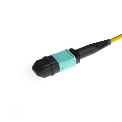 China Elite Mpo To Mpo Cable 24 Connector Male Gender Os2 Fiber Patch Leads for sale