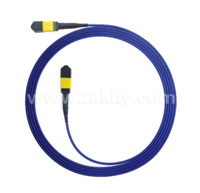 Κίνα Mpo Mtp 12 Multimode Fiber Optical Patch Cord προς πώληση
