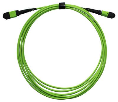 Cina Cable a fibra ottica MPO MTP a 24 fibre multi-mode in verde calce in vendita