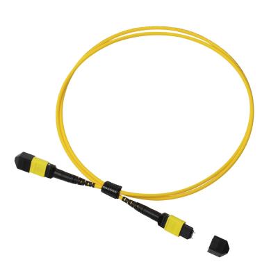 China Plenum OFNP MPO Patch Cord 1m 3ft MTP-12 APC Female to MTP-12 APC Female Single Mode OS2 for sale