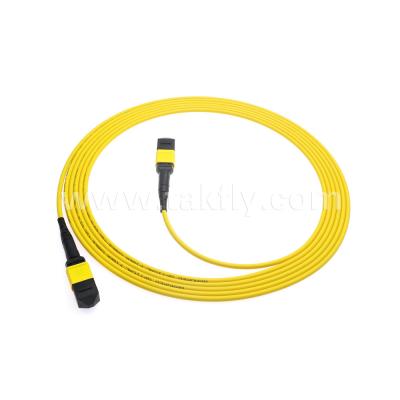 China Data Center FTTX Fiber Optic Cable MPO Patch Cord MTP Trunk Cable Armored SM MM Jumper for sale