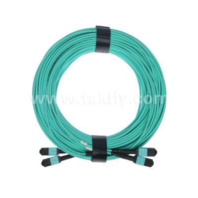 China Elite 2x12F MPO MTP- 2x12F MPO MTP Male Female 24 fiber Optical Breakout Cable OM3 OM4 Multimode Fiber Optic Patchcord /Optical Fiber Patch Cable /Optical Fiber Trunk Cable /Optic Fiber Fanout Cable for sale