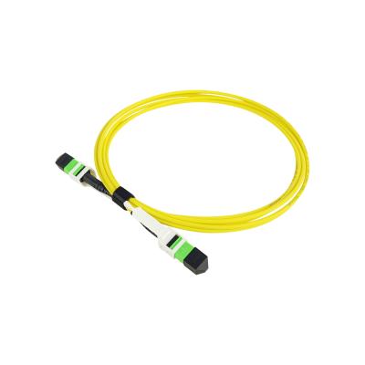 China Pull Tab MPO MTP Male Female SM MM OM3 OM4 OM5 Fiber Optical Breakout Cable Fiber Optic Patchcord/Optical Fiber Patch Cable/Optical Fiber Trunk Cable/Optic Fiber Fanout Cable for High Density for sale