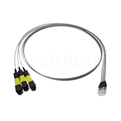 China 3x12F MTP - 36CH Fiber Array FA Assembly with High Transmission Rate Low Consumption and High Stability and Reliability for sale