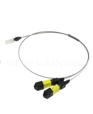 China MTP-16CH-FA Fiber Array Assembly – MTP Connector to 16-Channel V-Groove Fiber Array, Low Insertion Loss, for High-Speed Optical Transceivers & CPO/Data Center Applications for sale