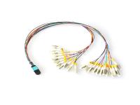 China 24 Core OM3 Multimode MPO Patch Cord with LSZH Sheath for High-Density Data Centers for sale