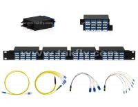 China 512C 1U 256F Fiber Optic Patch Panel MPO CS FTTH Patch Panel for sale