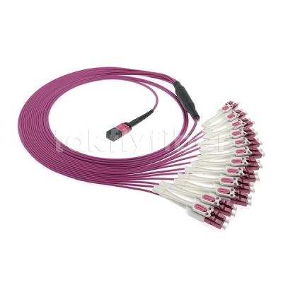 China 24 núcleos MPO à fibra ótica Patchcord LSZH Violet Jacket 12 LC Uniboot frente e verso do LC OM4 à venda