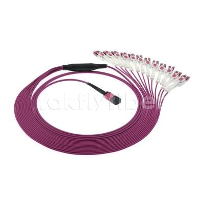 China 24 núcleos MPO à fibra ótica Patchcord LSZH Violet Jacket 12 LC Uniboot frente e verso do LC OM4 à venda