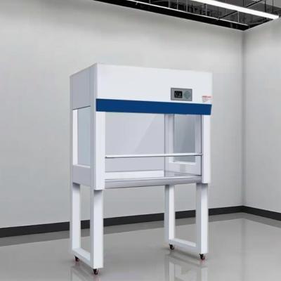 China New Double Sided Horizontal Upright Laminar Flow Hood Dust-Free Clean Room School Laboratory Equipment with OEM Customization for sale