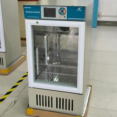 China SPX-B Series Intelligent Biochemical Incubator with Heating & Cooling - for BOD Test, Microbial Cultivation for sale