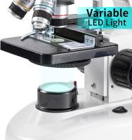 China 40X-640X Magnification Microscope Student Education Compound Biological Optical Binocular Microscope for sale