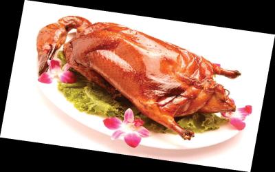 China Stainless Steel Gas Duck Roaster Single Insulated Layer Duck Cooking Stove for sale