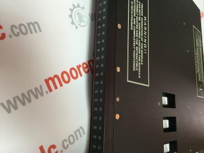 Triconex DCS Module 9753-110  1700X600 100PLINTH+1200EQUIP+400ROOF High reliability