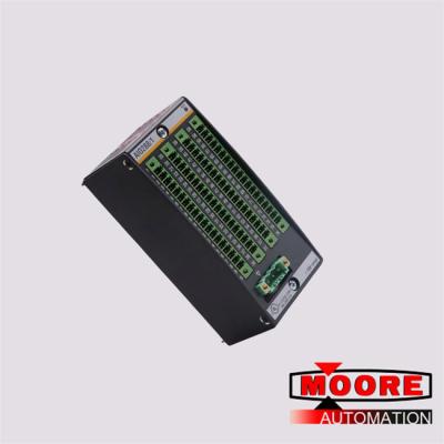 中国 EM213 バッハマン アナログ入力モジュール 販売のため