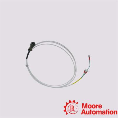 Cina 16925-12 Cable di interconnessione Bently Nevada in vendita
