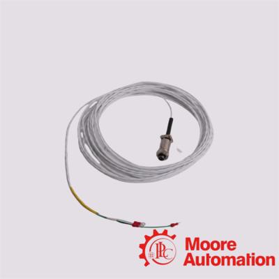 Cina 9571-17 Cavi di interconnessione standard Bently Nevada in vendita
