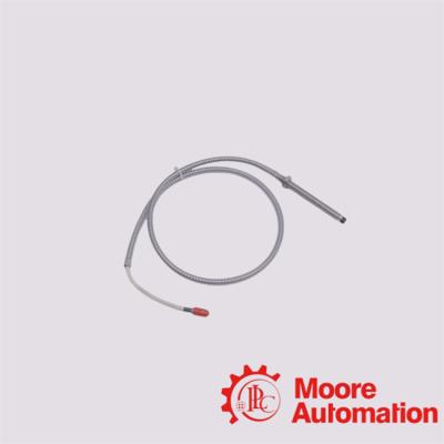 Cina 22810-00-05-05-00 Sonda di prossimità Bently Nevada in vendita